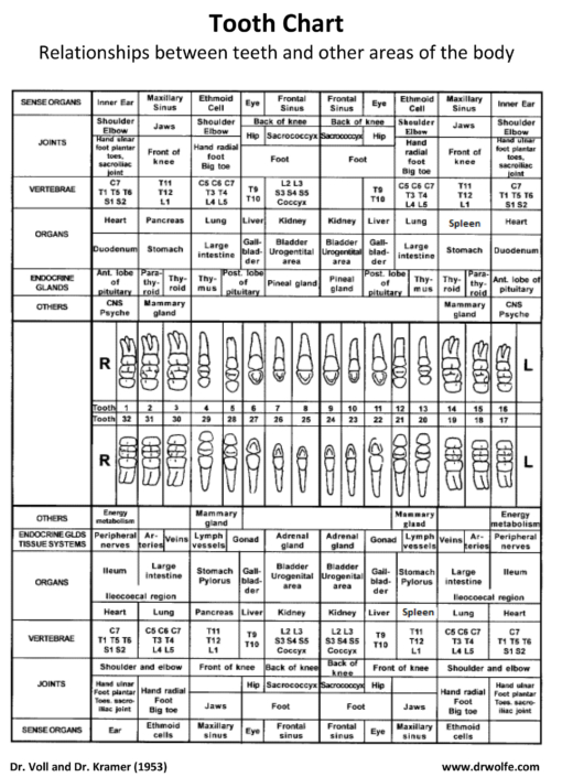 My Dentistry - Dr. Wolfe Energetic Healthcare and Dentistry
