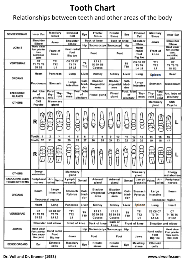 My Dentistry - Dr. Wolfe Energetic Healthcare and Dentistry